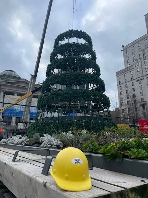 Western Canada’s Tallest Christmas Tree: One of Our Local Holiday ...